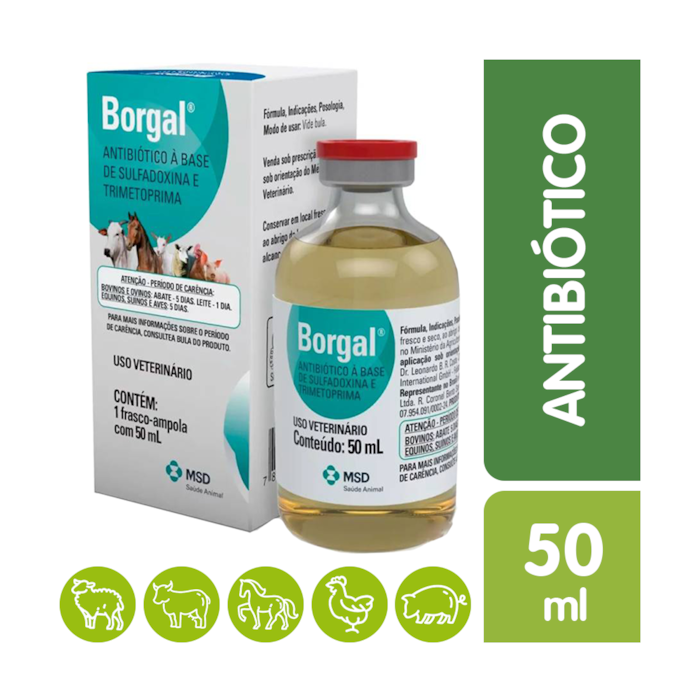 Borgal Antibiótico 50ml MSD