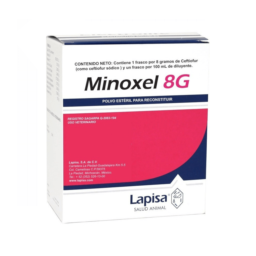 Minoxel Lapisa 8g 100ml Com o Melhor Preço do Mercado? Clique em Mim ...