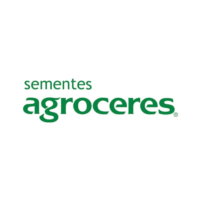 Semente de Milho Híbrido Agroceres AG 7098 Trecepta - 60.000 Sementes ...